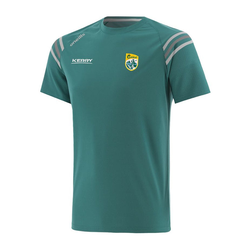Kerry GAA Weston T-Shirt (Green/Grey) – Nelligan Sports